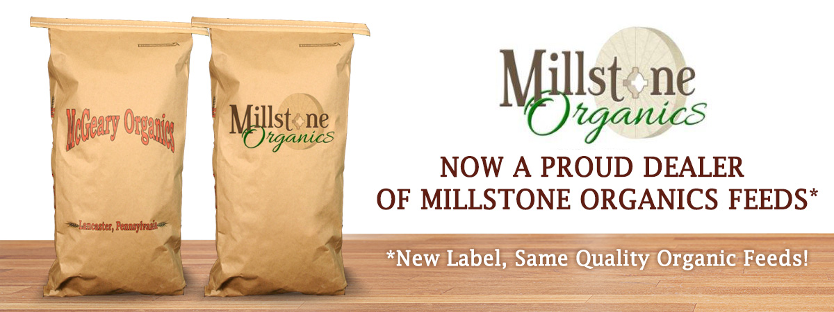 Organic Chicken Feed | Organic Feeds | McGeary Organics